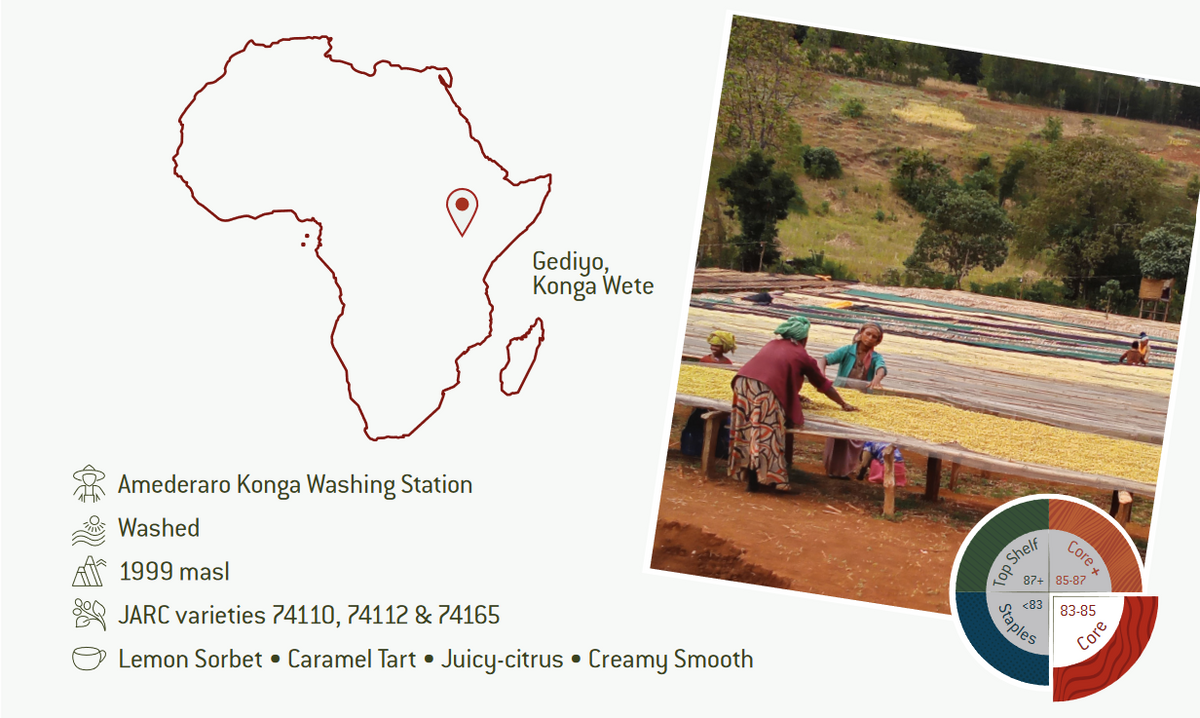 ETHIOPIAN YIRGACHEFFE KONGA G2 – Amelia + Toby